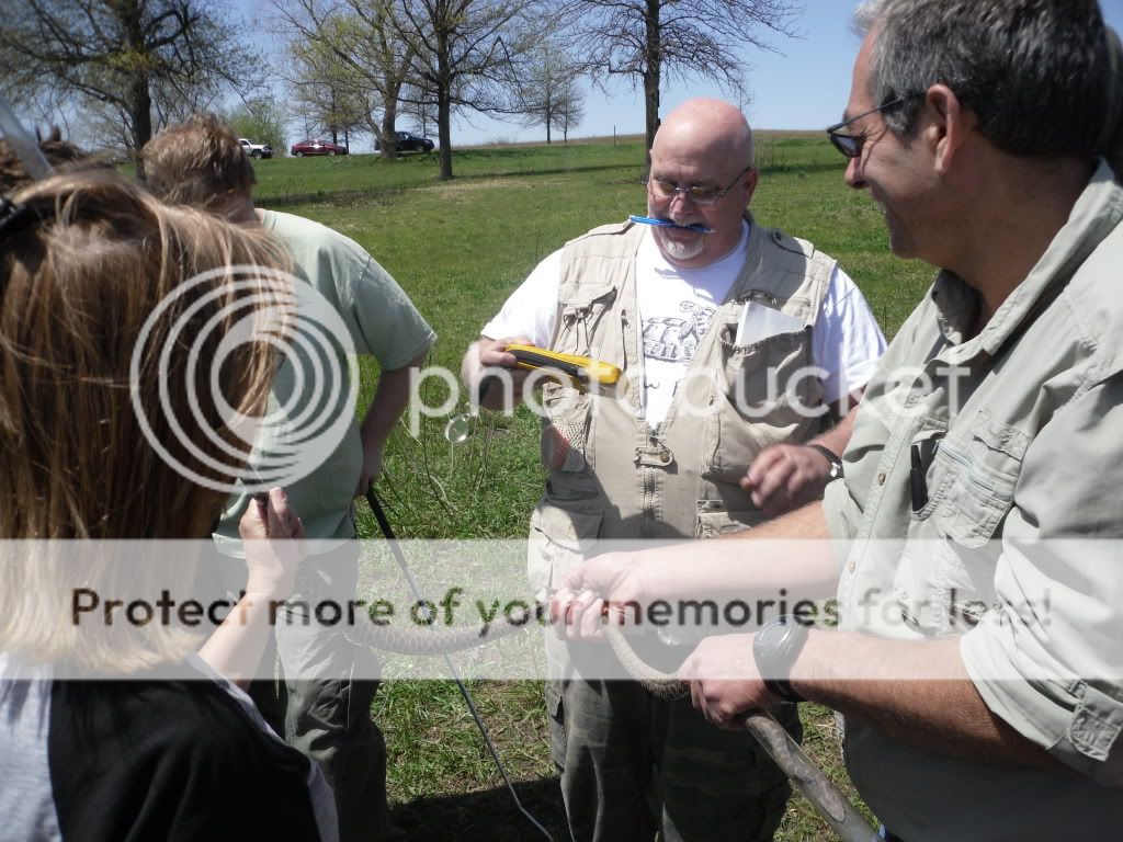 Nebraska herps and habitat, 110 pics - Field Herp Forum