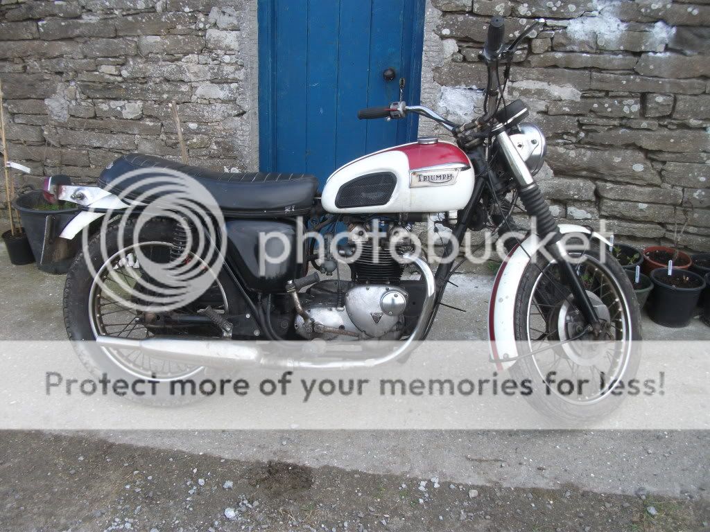 old tiger 100 | VW T4 Forum - VW T5 Forum