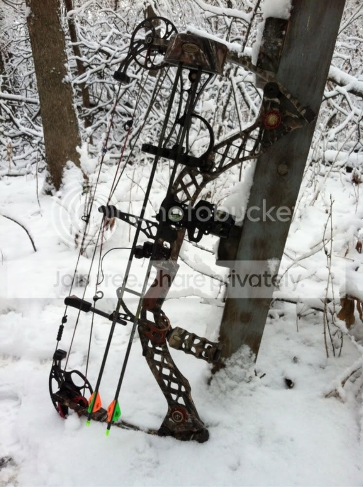 Let's see those Z7s...Z7, Xtreme, EZ7 etc. | Page 3 | Archery Talk Forum
