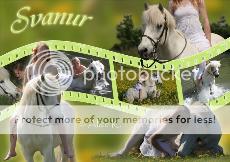 Svanur ~ Mein Seelenpferd | Seite 6