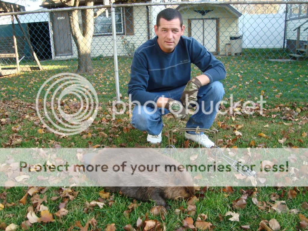 my first nj beaver (pix) | New Jersey Hunters